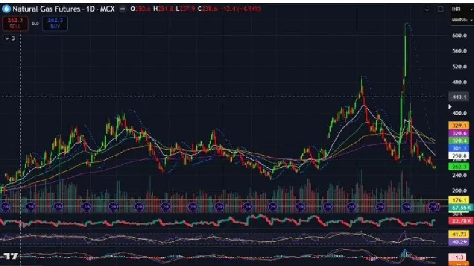 Natural Gas Price Prediction for Next Week (02th - 06th March 2026)